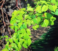 Rukhe Neelofer Exhibitions (08-10 Mar 2019)